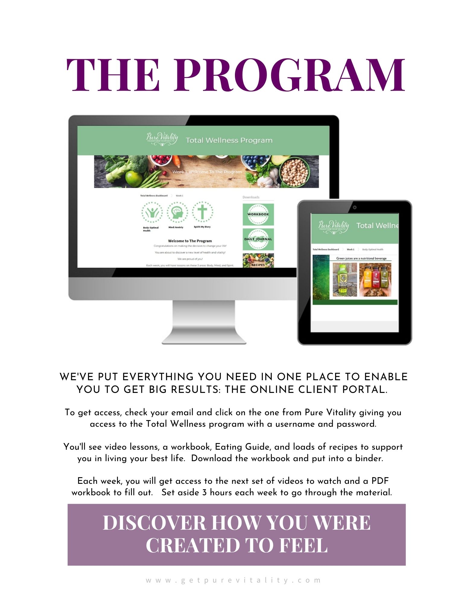 3) Total Wellness Program Booklet — Pure Vitality University